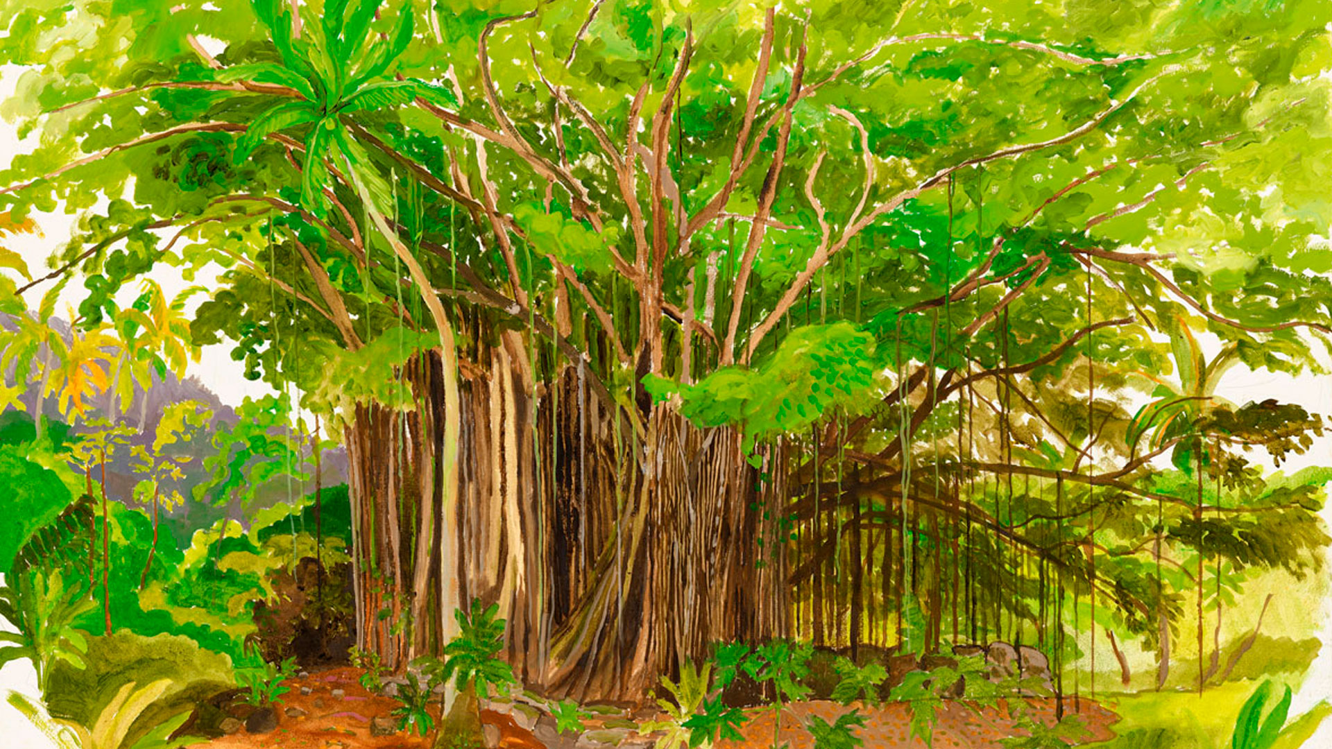 Banian | Titouan Lamazou